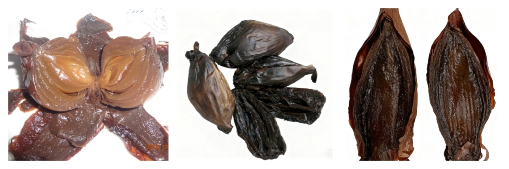 Premium Black Shallot Discover Its Benefits how to - Black Shallot